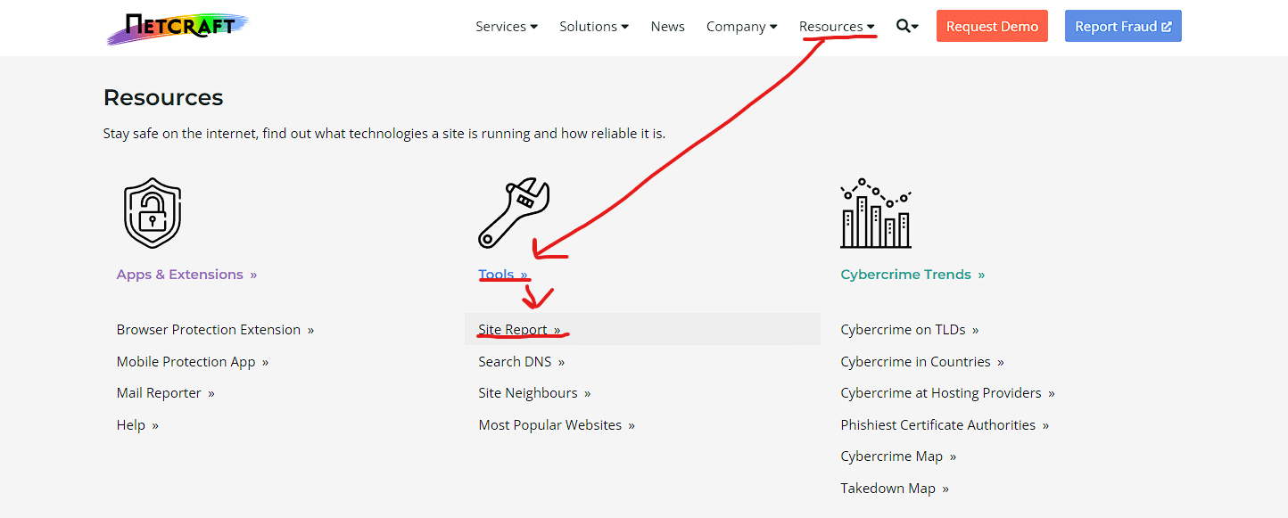 Footprinting Through Web Service Tools