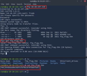 TryHackMe Walkthrough: Protocols And Servers